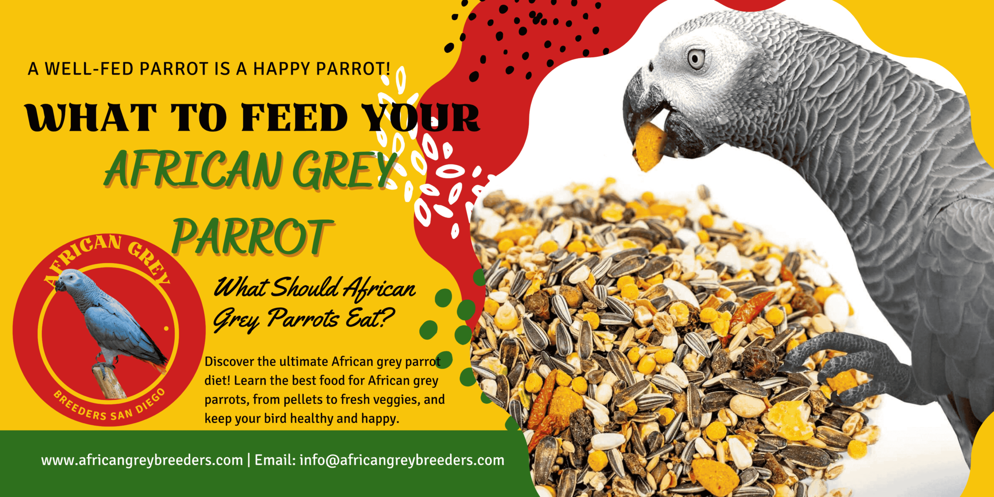 The Ultimate African Grey Parrot Diet: From Seeds to Fresh Veggies ...